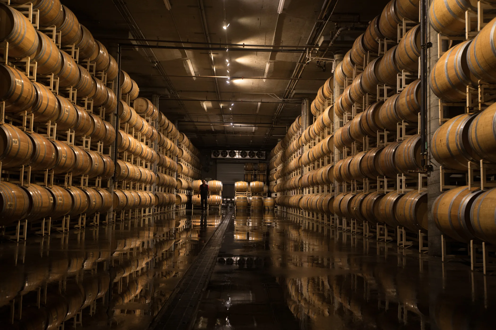 Visit - David Bruce Winery